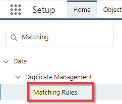 Create and Activate Matching Rules and Duplication Rules – Lightning Platform