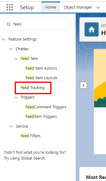 Enabling Chatter for Feed Tracking and Posting Updates via Chatter ...