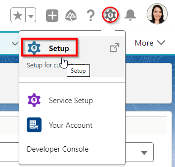 Setup eLead Endpoint – Lightning Platform